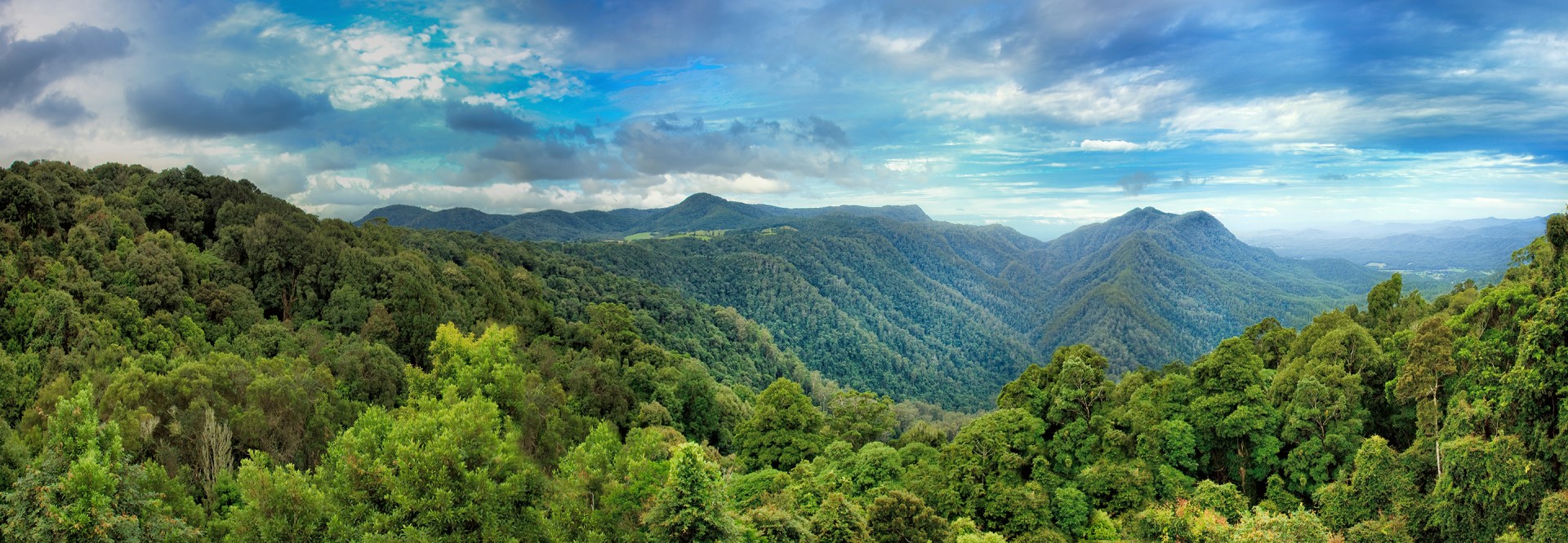 BAT Argentina - ESG: nuestro compromiso